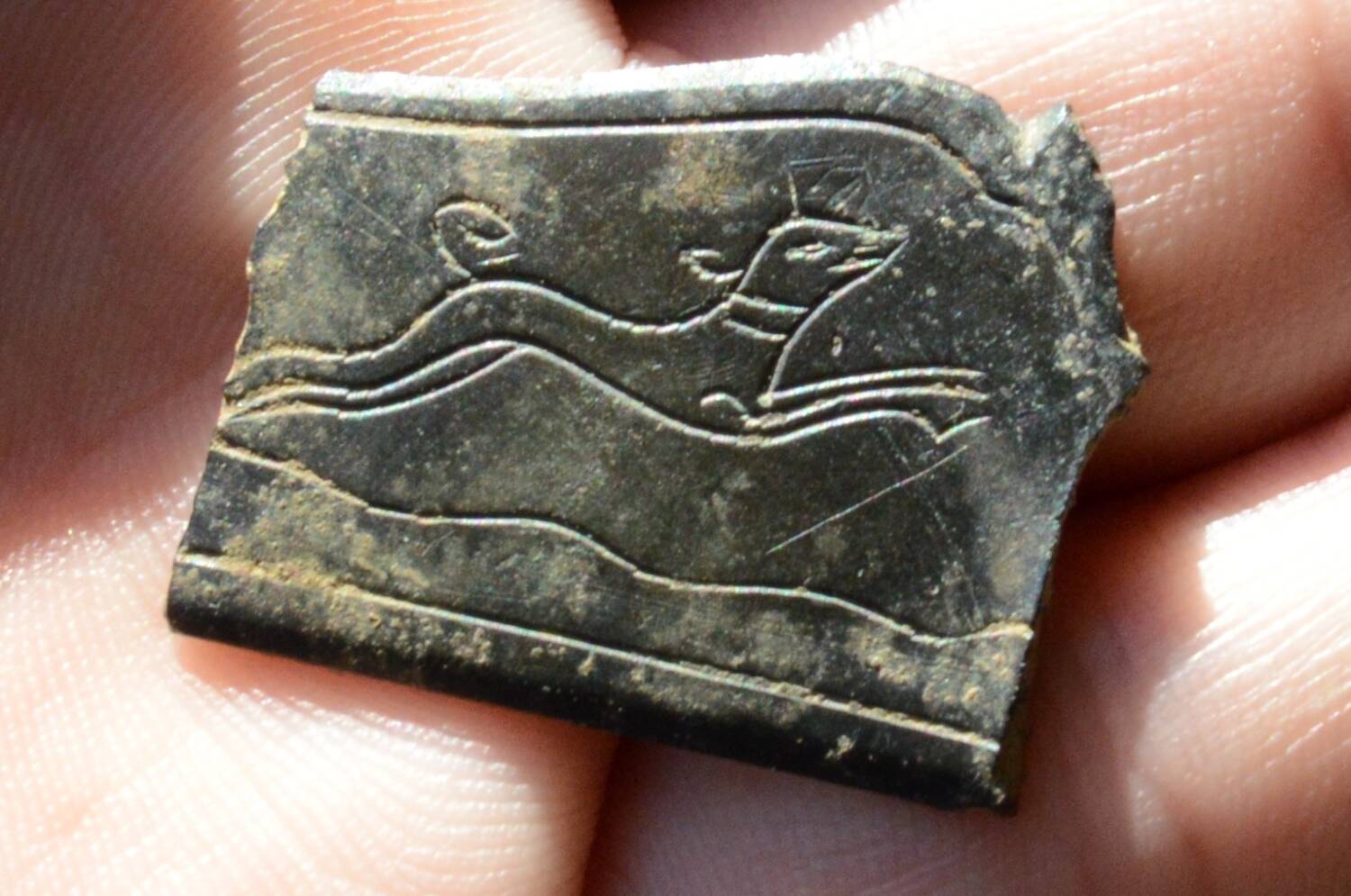 Tuesday, Sept 17 - 7:00pm, Fort Saint Joseph Archeological Dig ...